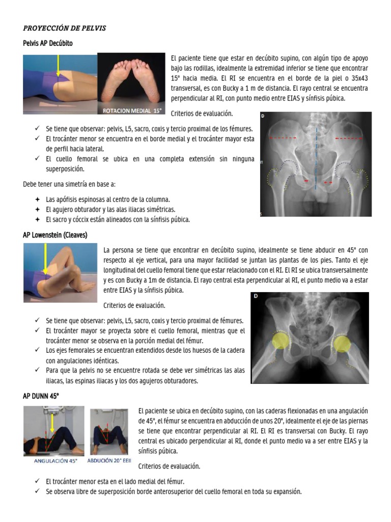 Proyección de Pelvis | PDF