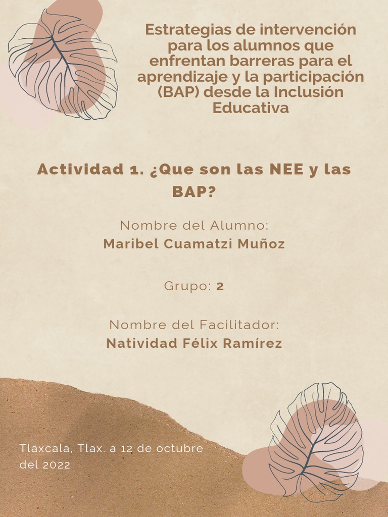 Estrategias para NEE y BAP en Educación | PDF