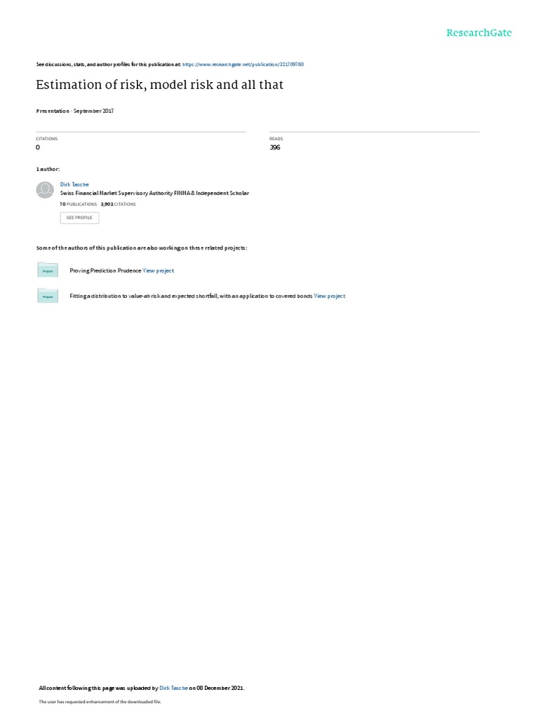 T Asche Model Risk | PDF