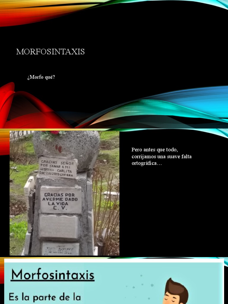 Guía de Morfosintaxis | PDF