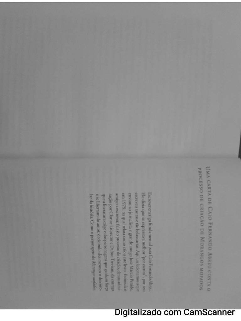 TEXTO FICCIONAL Uma Carta de Caio Fernando Abreu | PDF