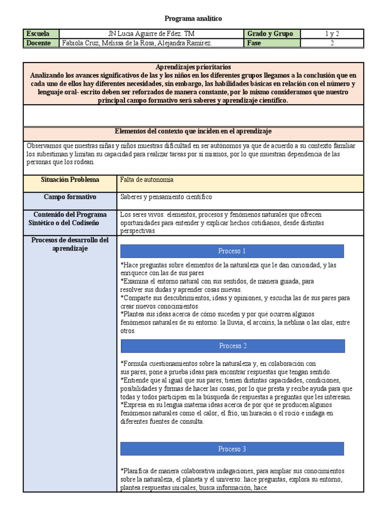 Formato Programa Analitico 1 Y 2 Pdf Aprendizaje Las Emociones