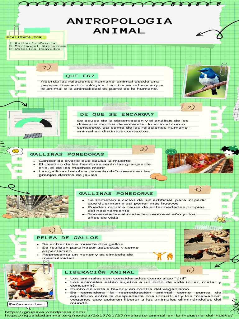 Antropologia Animal | PDF | Pollo