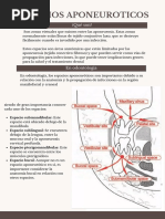 Codigo ICDAS | PDF | Esmalte de dientes | Odontología