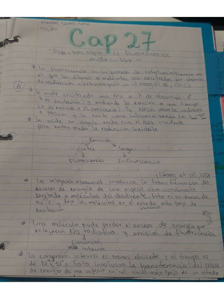 Resumen Cap 27 | PDF