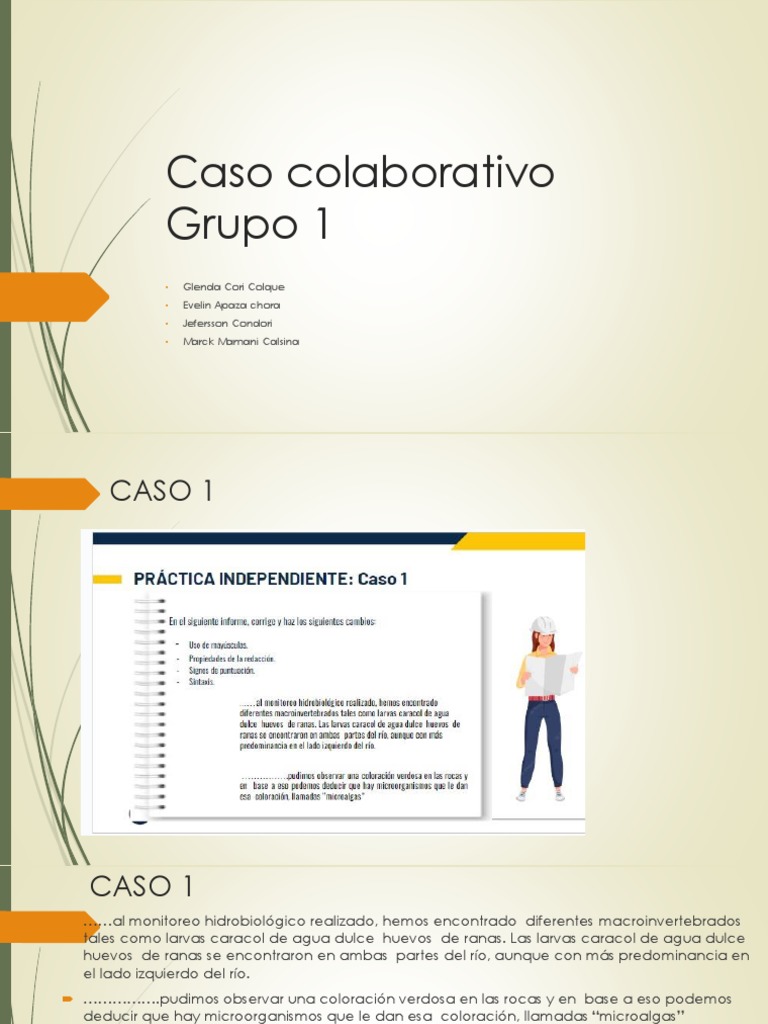 Caso Colaborativo Caso 1 | PDF