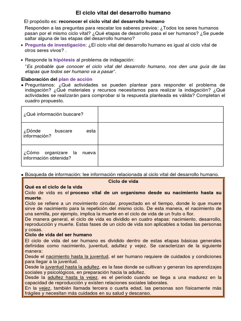 El Ciclo Vital Del Desarrollo Humano Pdf