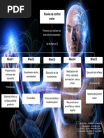 Test de Ruffier Dickson - Protocolo y Analisis | PDF | Legumbres