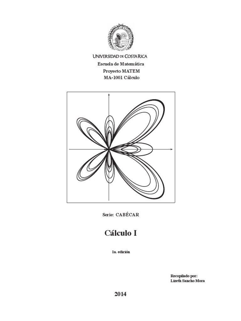 Libro Cálculo MATEM | PDF