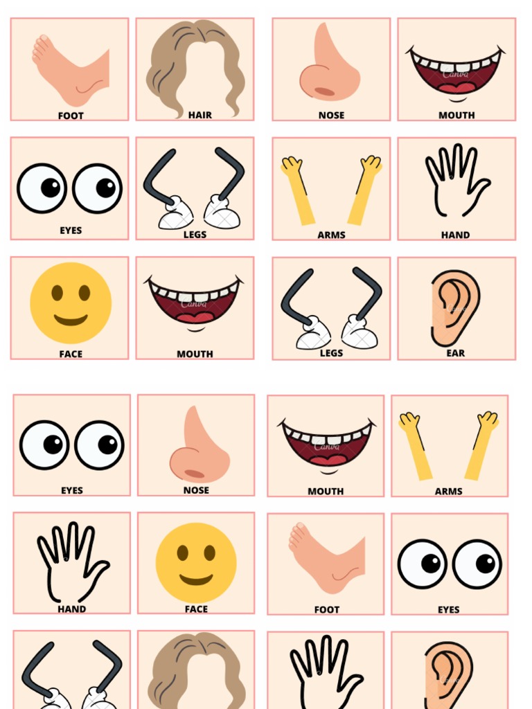 Bingo Parts of The Body | PDF