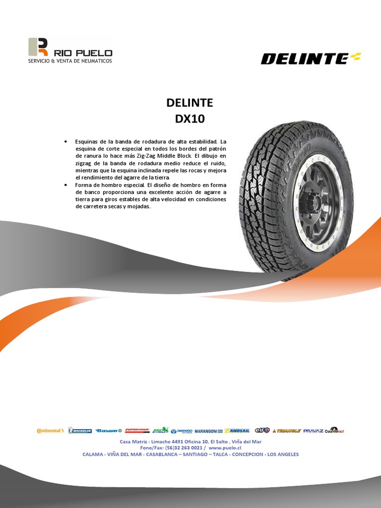 Delinte DX10 | PDF
