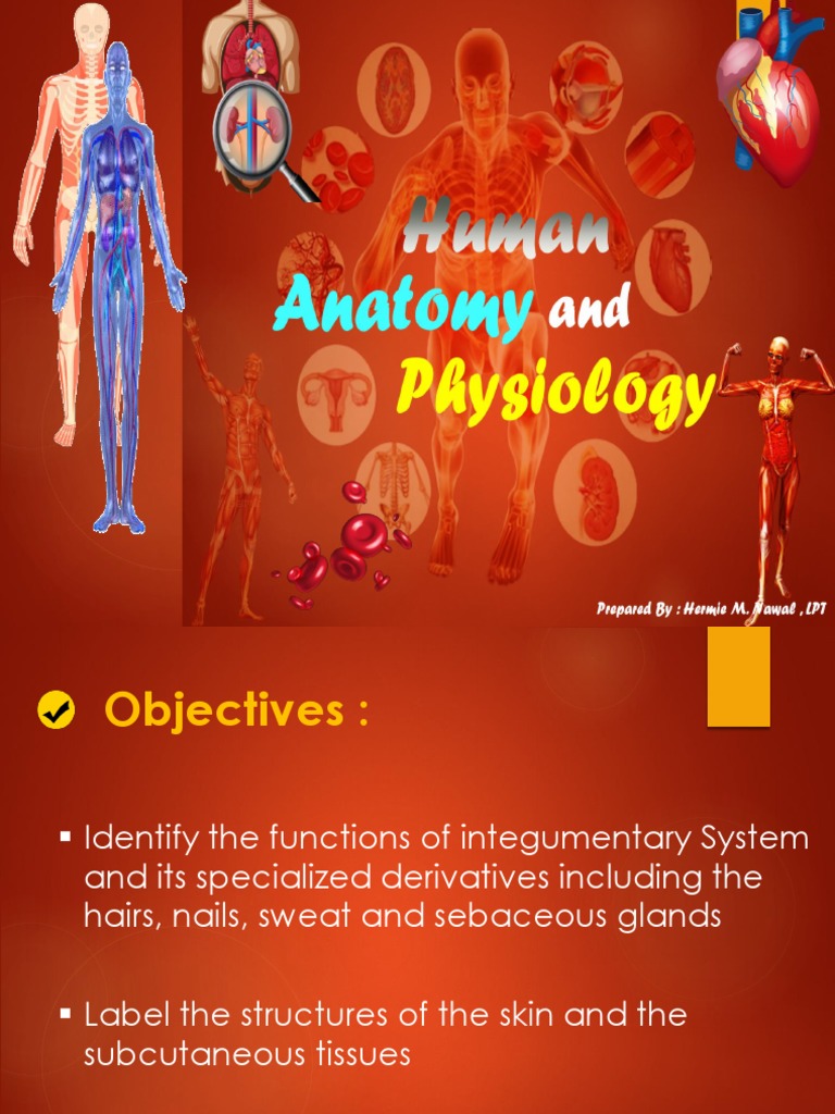 Integumentary System Tattoos