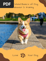 AKC Novice Trick Dog Checklist | PDF | American Kennel Club | Dogs