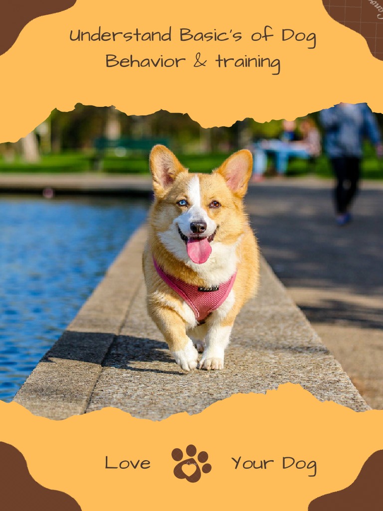 MY e Book | PDF | Dog Training | Reinforcement