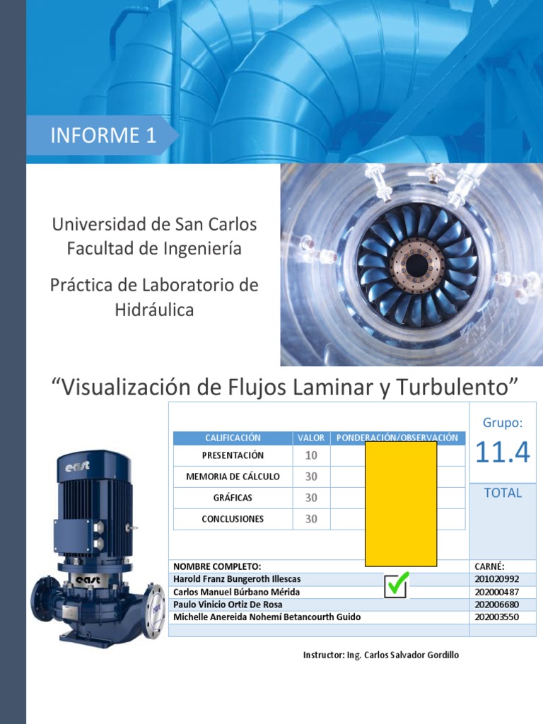 Visualización de Flujos Laminar y Turbulento-Grupo 11.4 | PDF