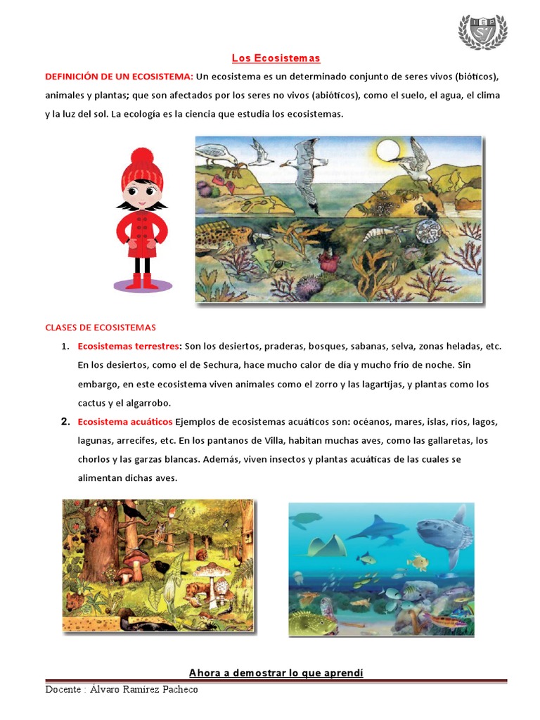 Practica Ecosistemas Definicion y Tipos | PDF