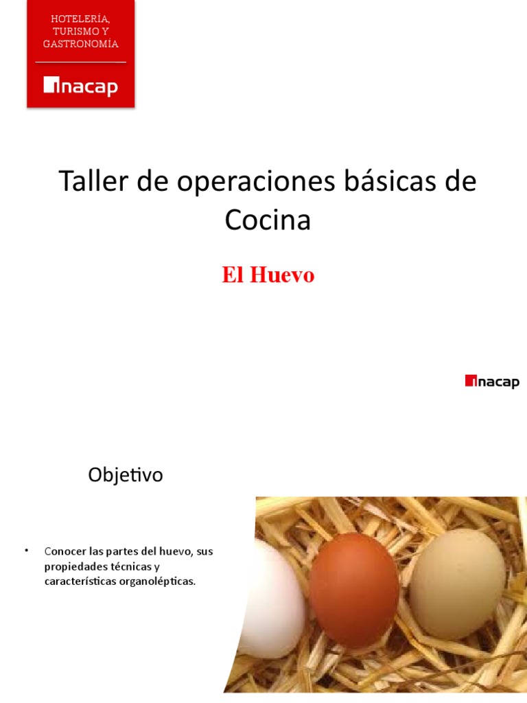 El Huevo | PDF | Huevo como alimento | Química