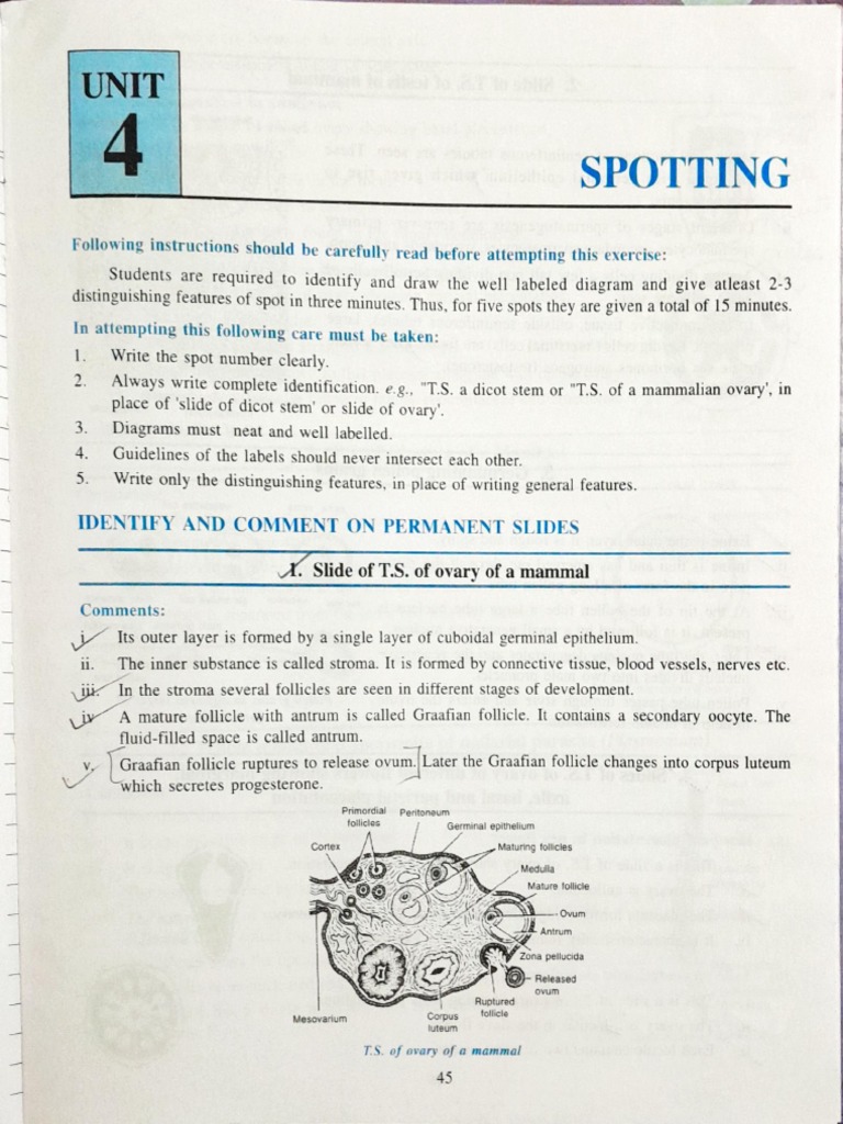 Spotting | PDF