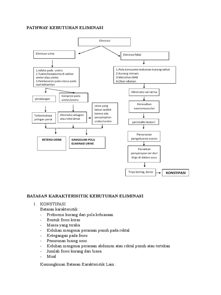 Pathway Kebutuhan Eliminasi | PDF