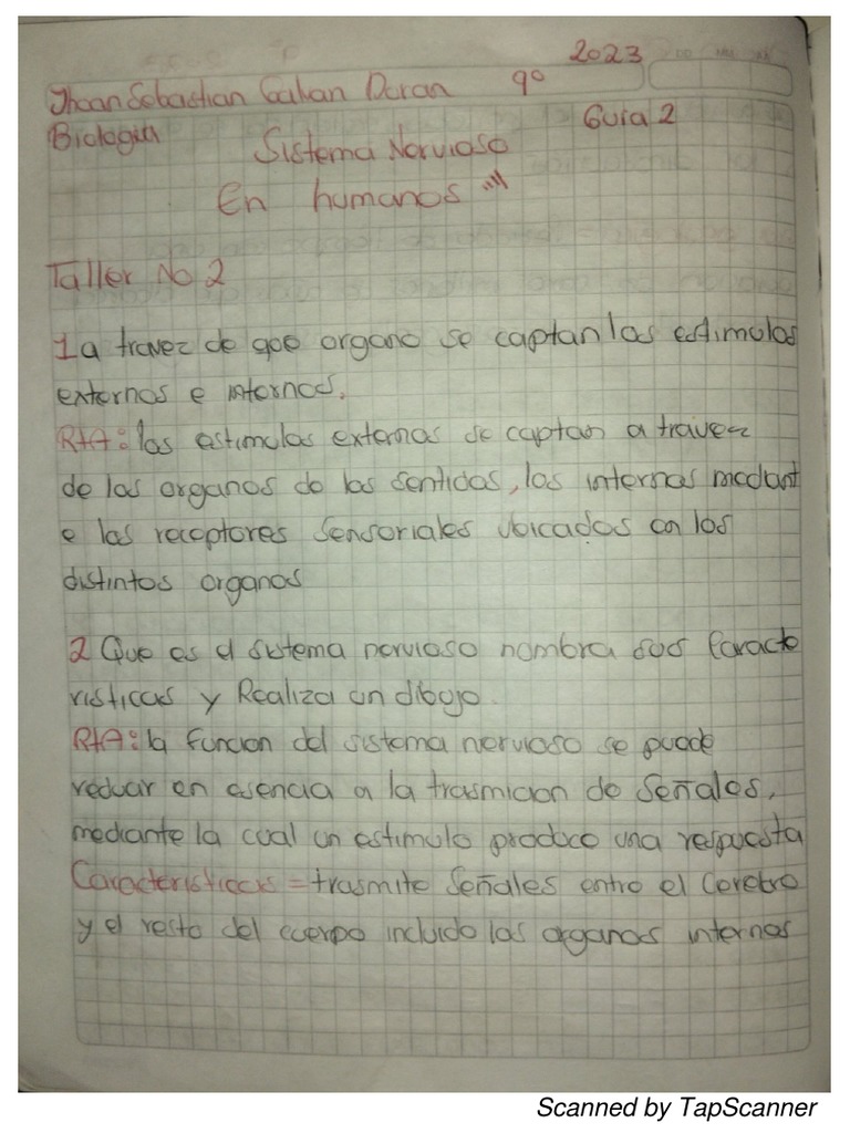 Jhoan Galvan. Sistema Nervioso, Taller 2 - 2023 | PDF