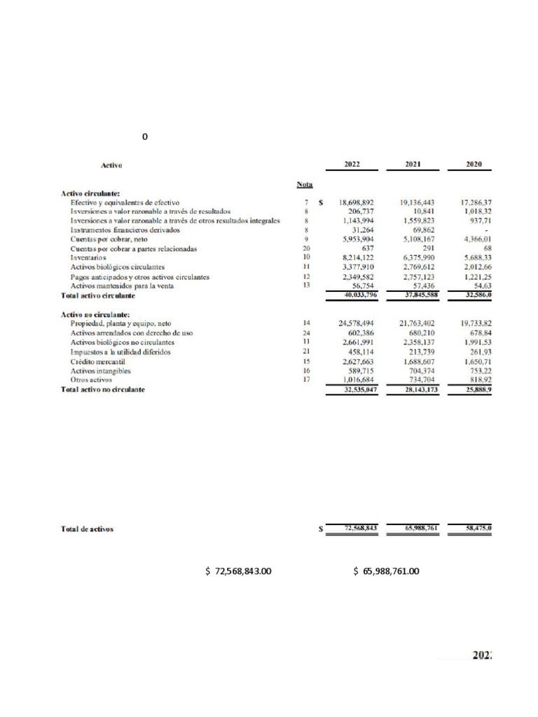 JRHR - Razones Financieras Bachoco-2022 | PDF