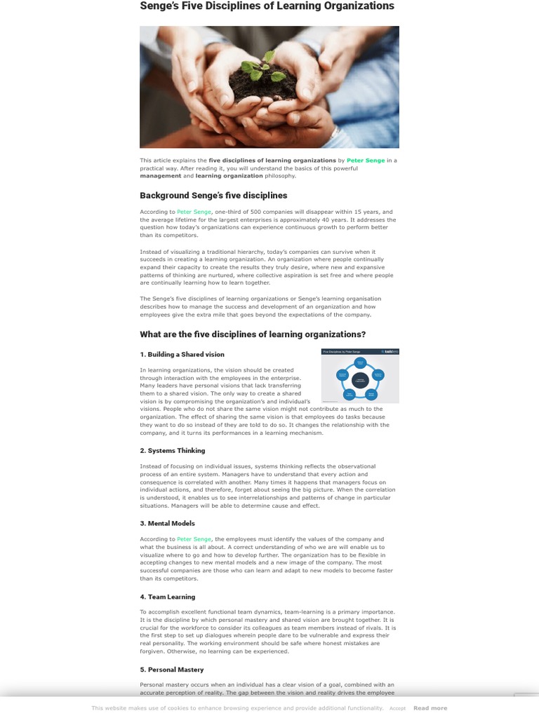 Learning Organization Essentials | PDF | Visual Perception | Disciplines