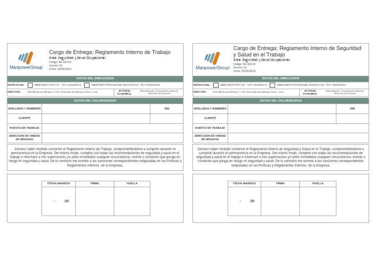RG-SSO-03 Cargos de entrega RIT-RISST v03 ultimo (3) | PDF