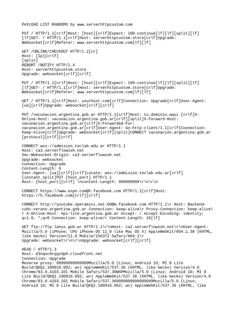 Lista de Payload | PDF