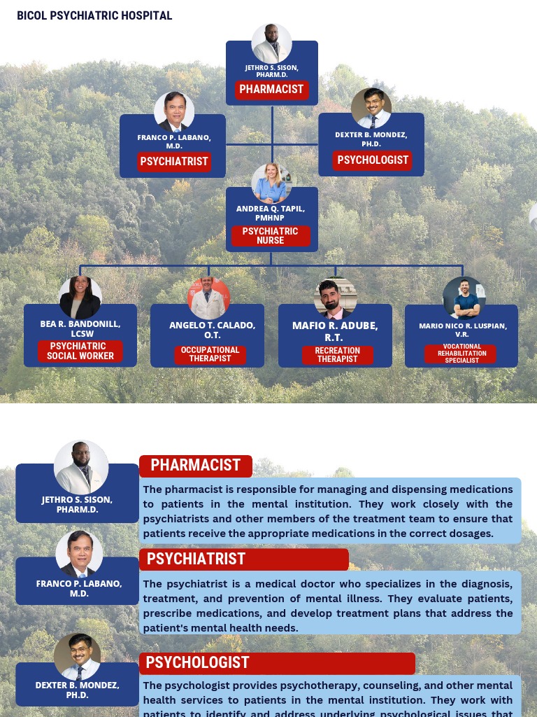 Organogram | PDF