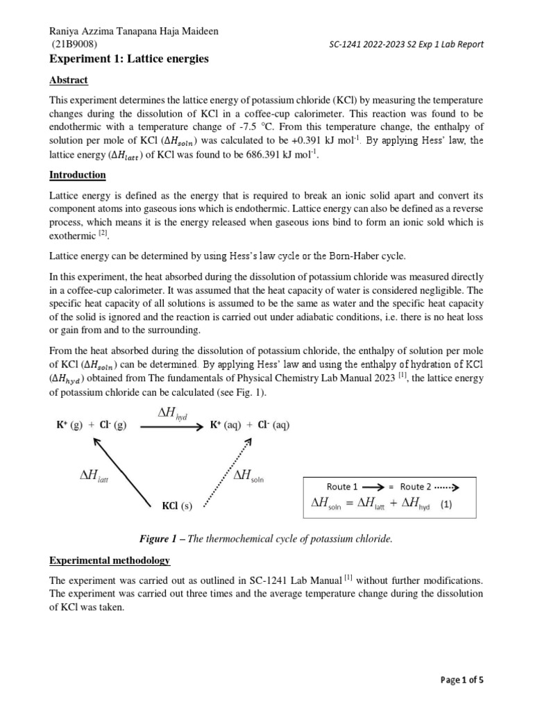 21B9008 Raniya SC1241 Exp1-1 | PDF | Solvation | Potassium Chloride