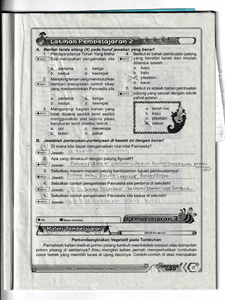 LKS Tema Hal 17 | PDF