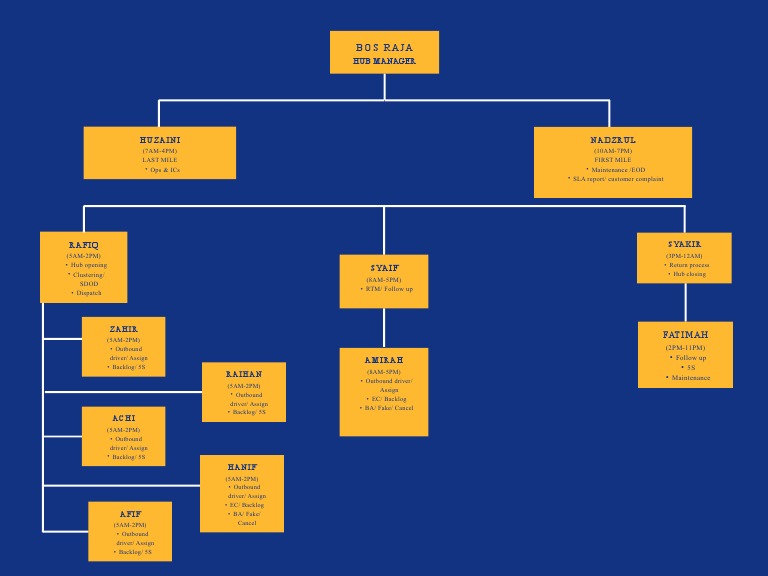 Organisation Chart LAZADA | PDF