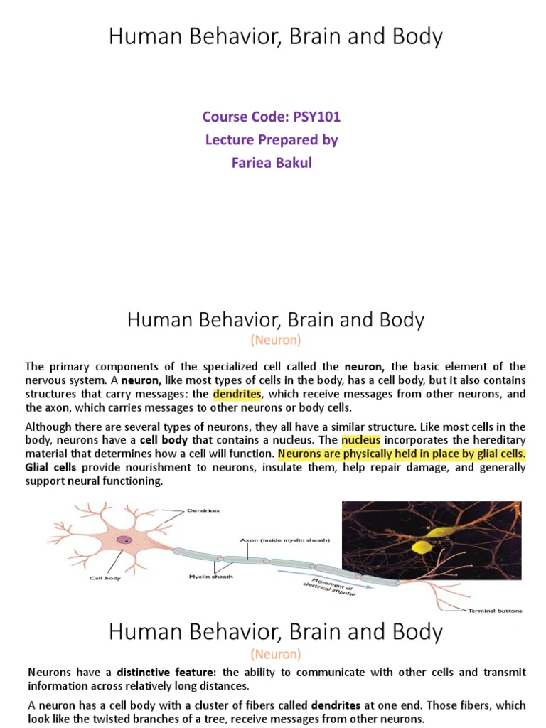 Unit 2 - Human Behavior, Brain and Body | PDF