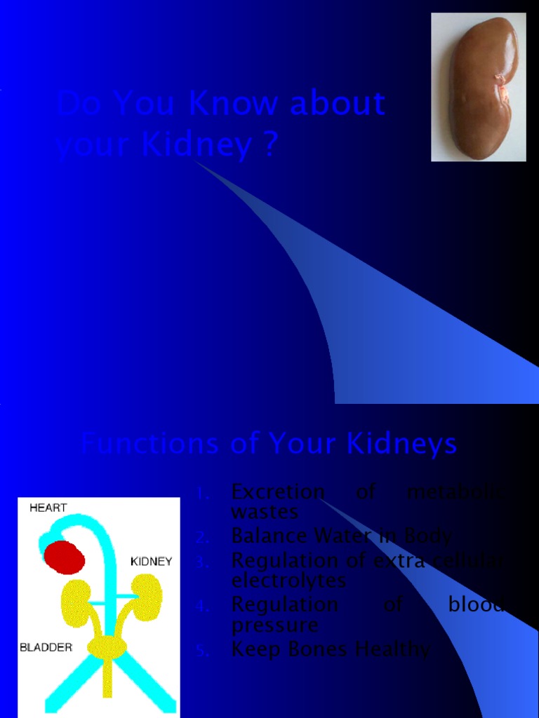Know Your Kidney | PDF | Lifestyle | Science & Mathematics
