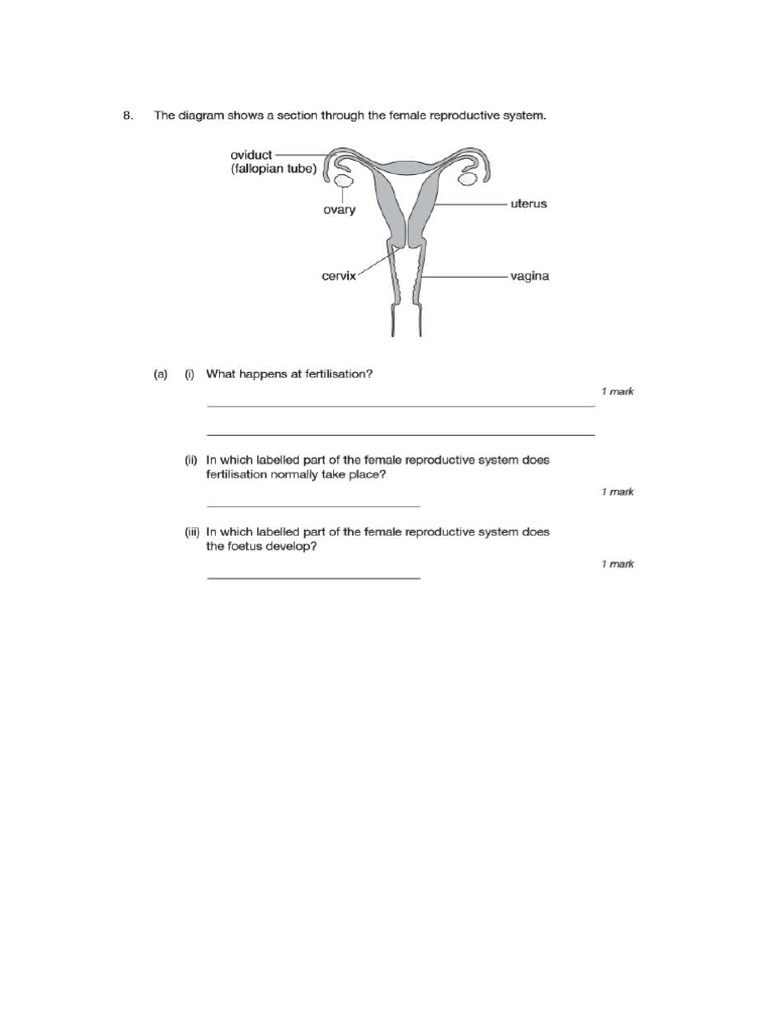 Year 9 Revision Questions | PDF