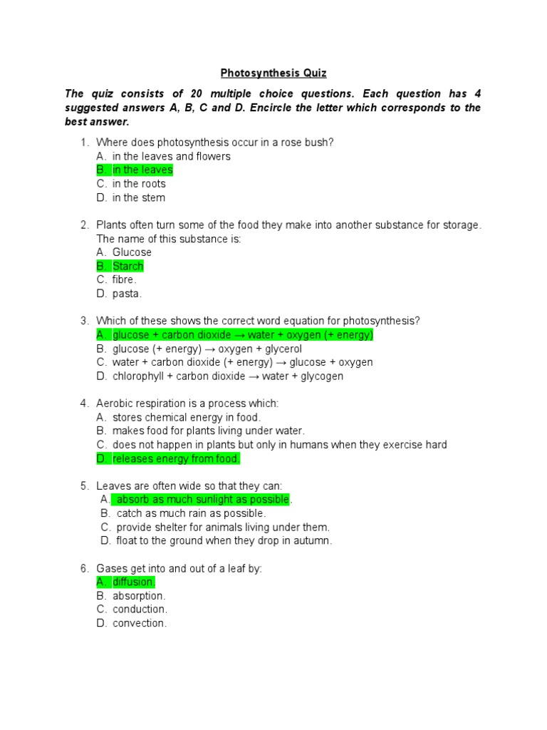 Photosynthesis Quiz Answers | PDF