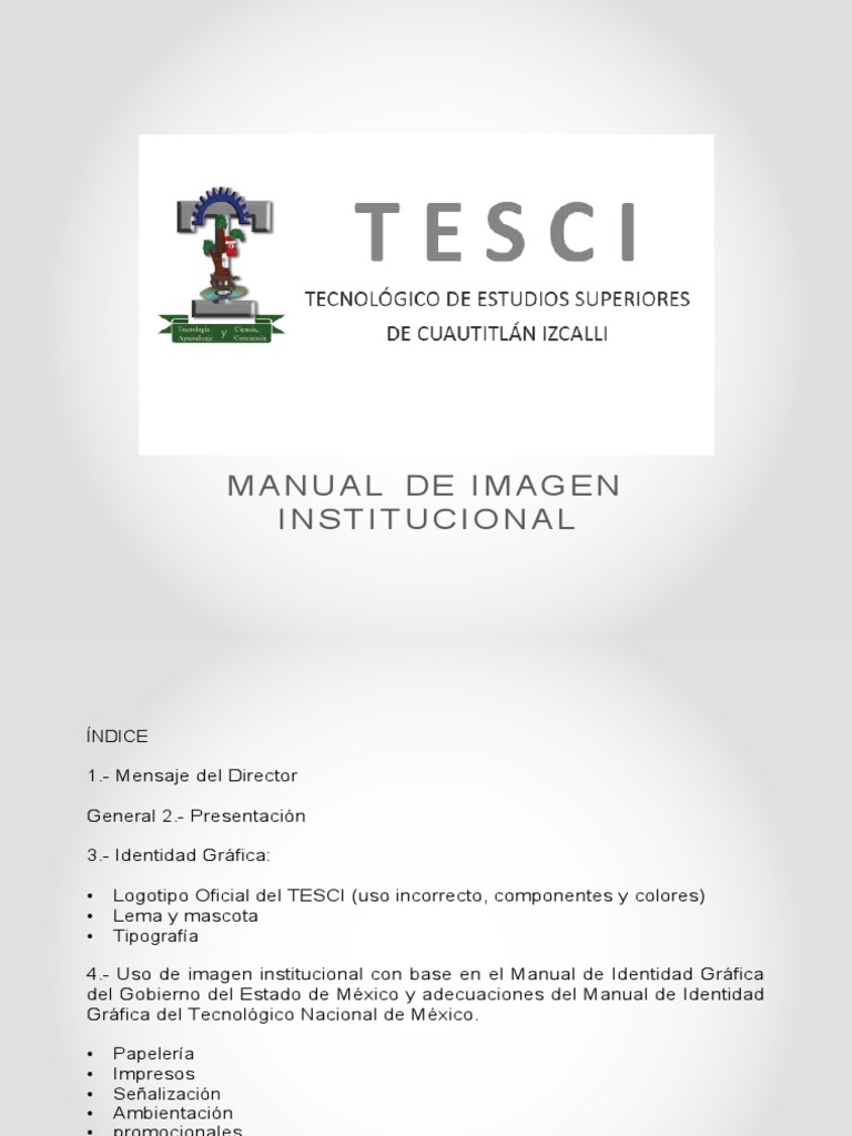 Manual de Imagen Institucional TESCI | PDF