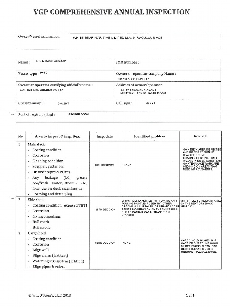 VGP Annual Checklist | PDF