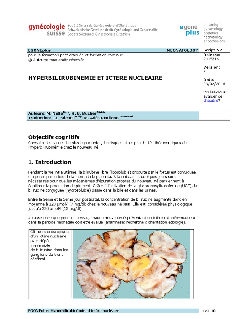 Hyperbilirubinémie et ictère nucléaire | PDF