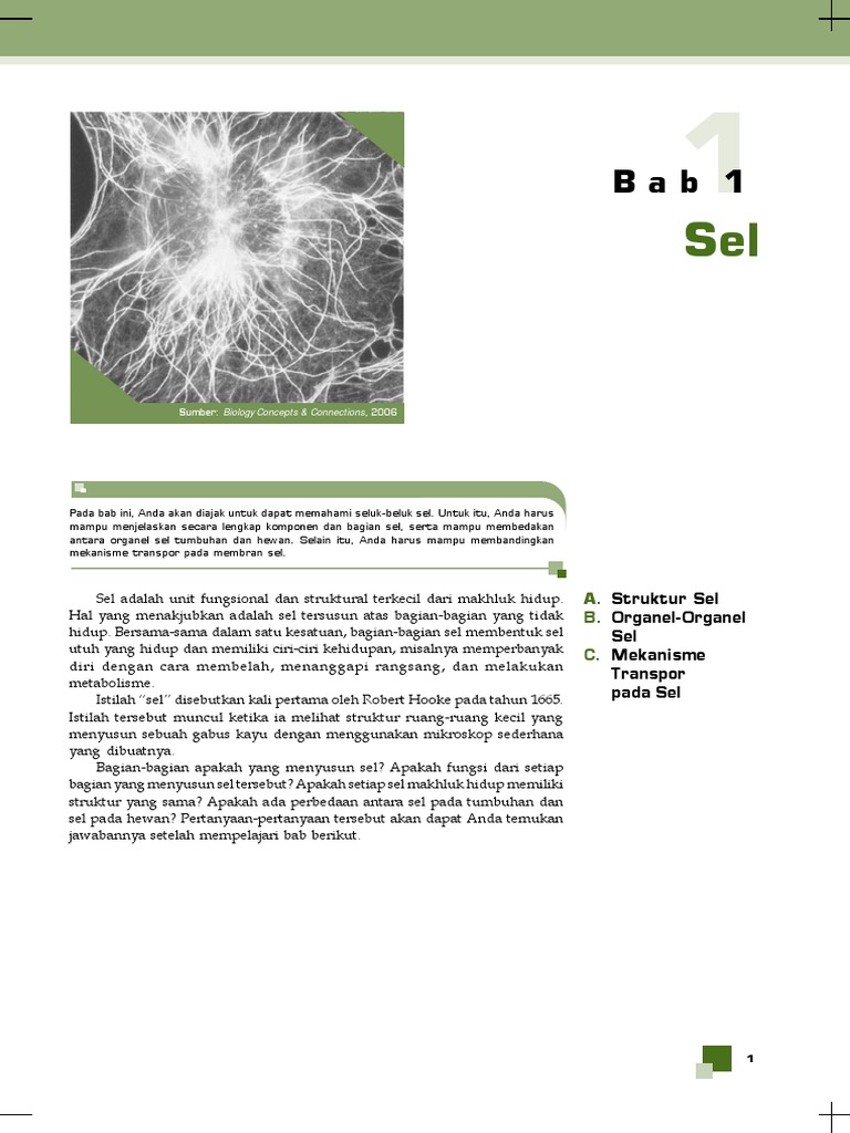 BIOSEL | PDF