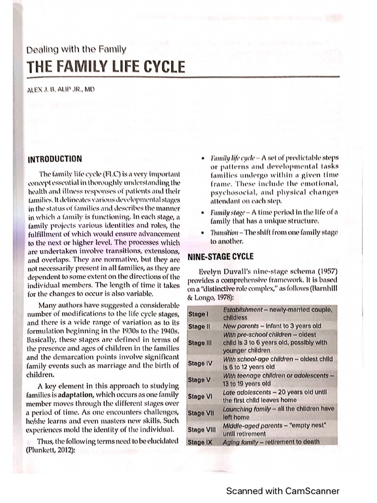 The Family Life Cycle | PDF