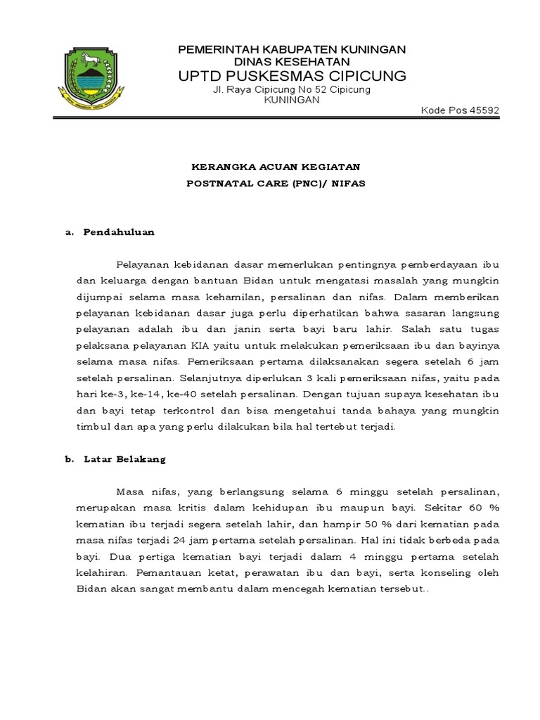 Kak Postnatal Care (PNC) Nifas | PDF
