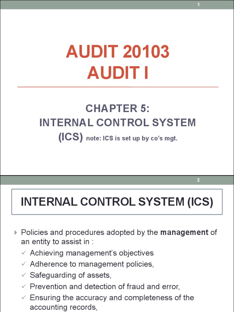 Internal Control System Overview | PDF