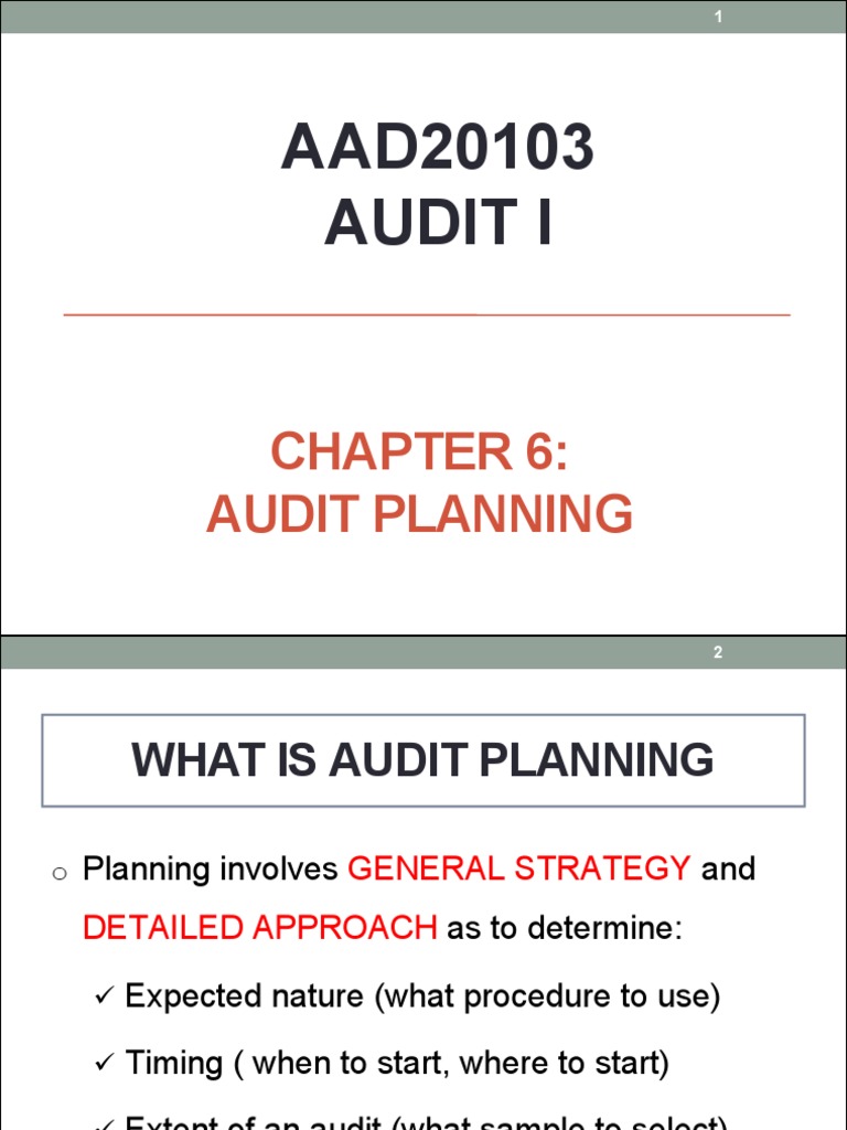C6 Audit Planning | PDF