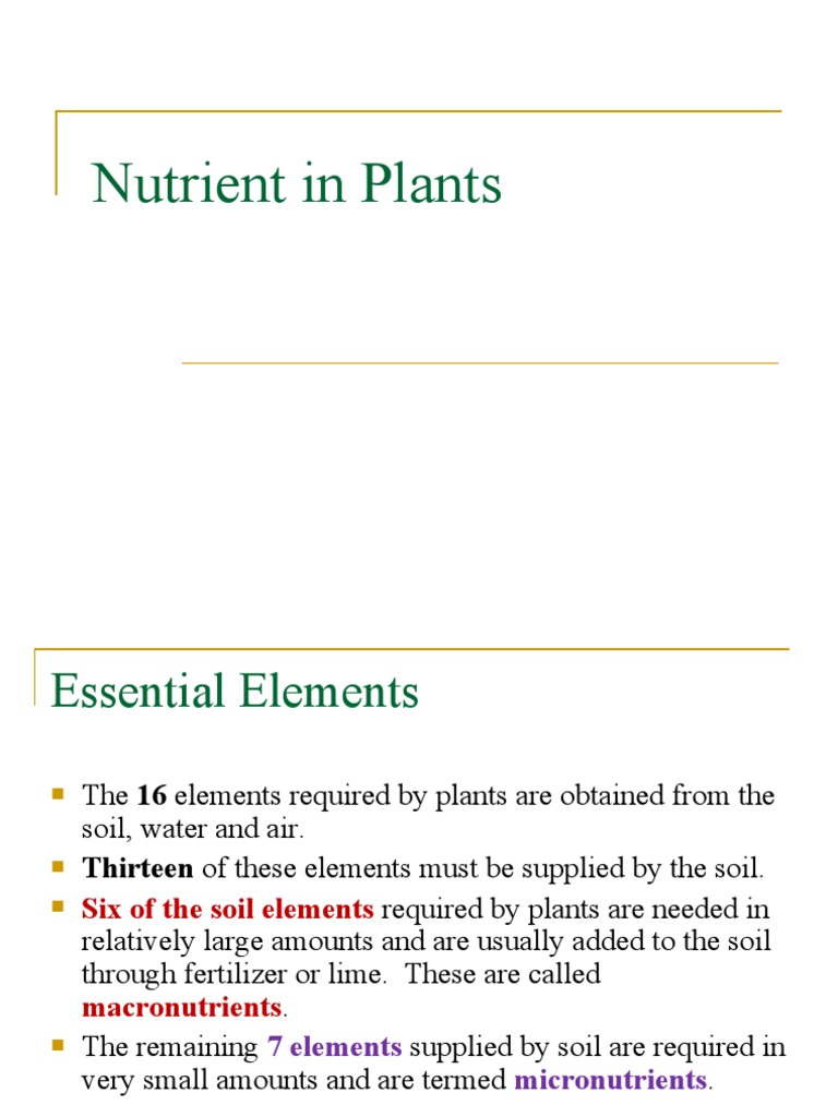 Plant Nutrient Sources Explained | PDF