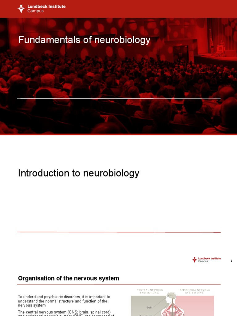 Fundamentals of Neurobiology | PDF