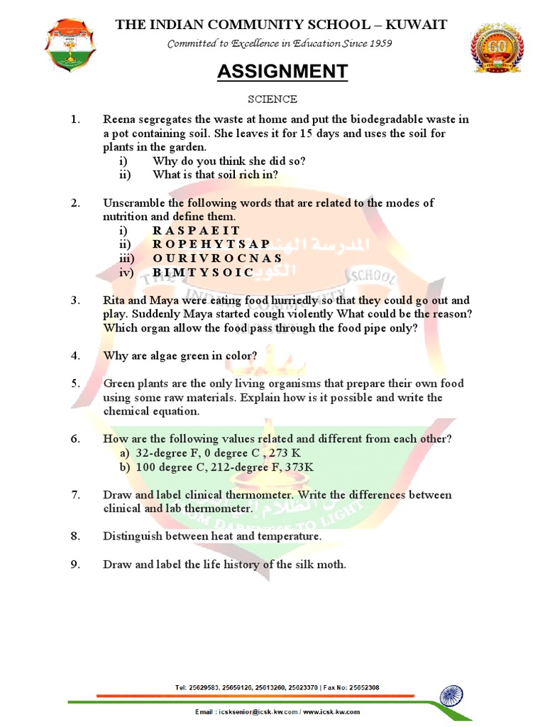 Class 7 Holiday Assignment | PDF