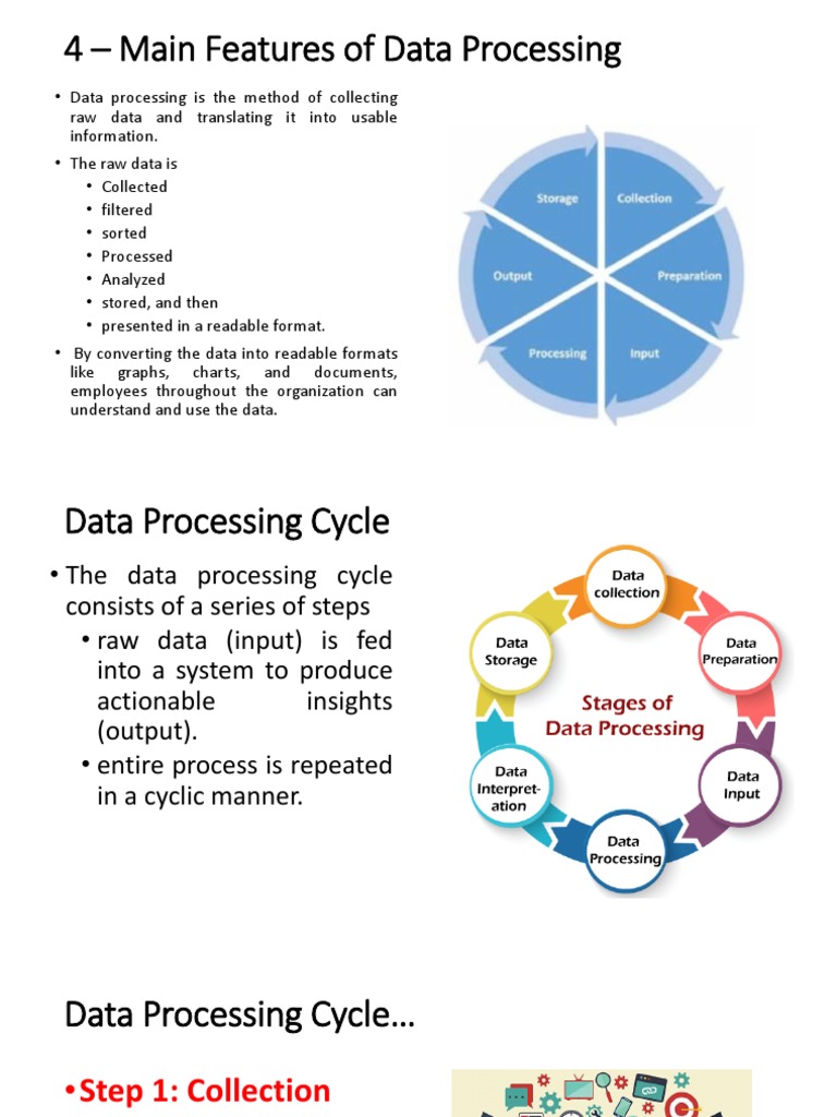 Data Processing | PDF