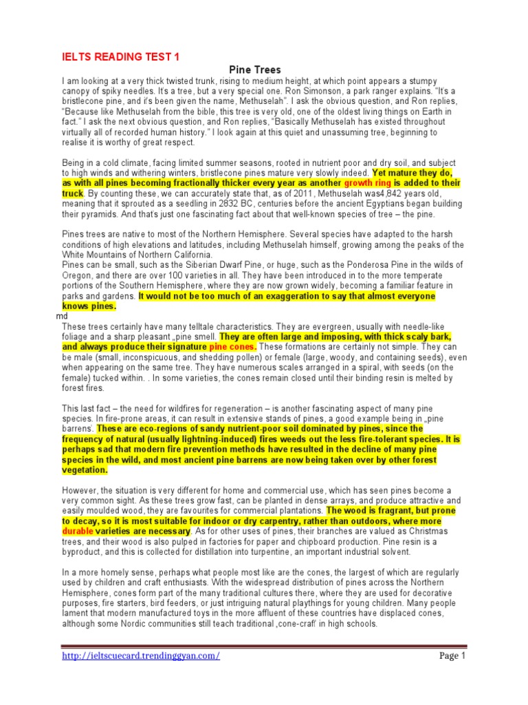 Ielts Reading Test 1 Pdf Parole Pine