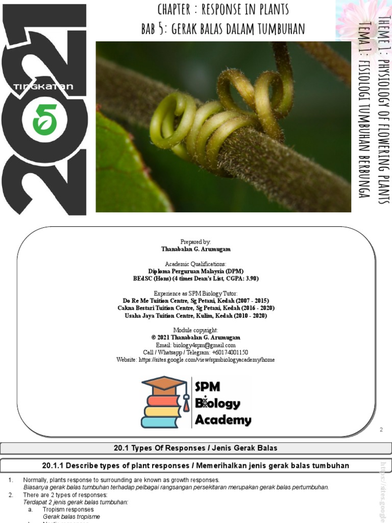 Chapter 5 - Response in Plants | PDF | Science & Mathematics